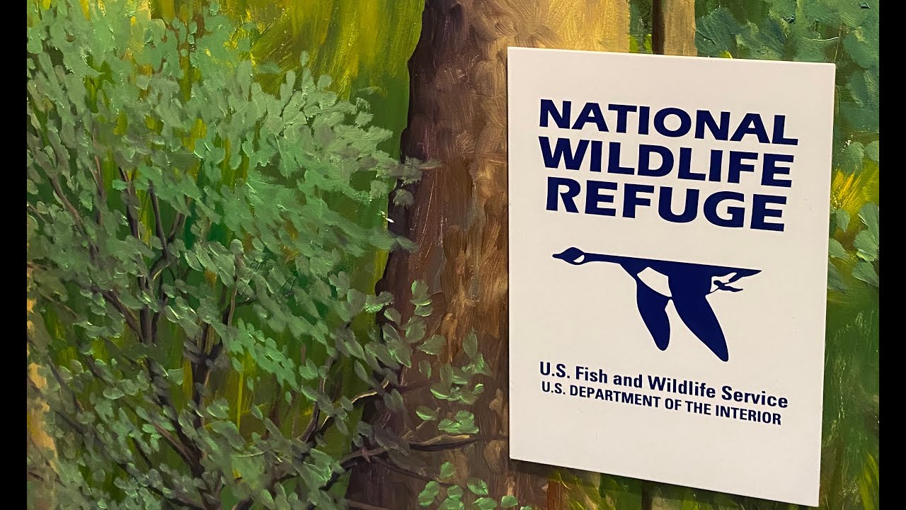 Tennessee National Wildlife Refuge - TN WildCast 291 - YouTube