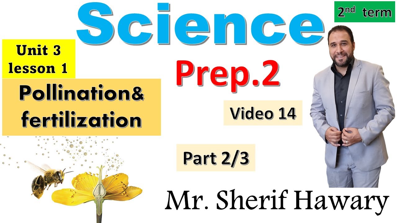 Science | prep.2 |Pollination & fertilization |Unit 3 Lesson 1| Part 2/ ...