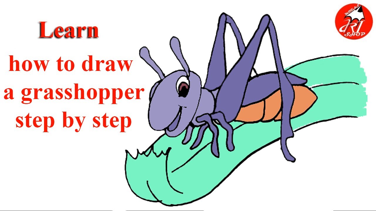 how to draw a grasshopper step by step | Grasshopper drawing easy ...