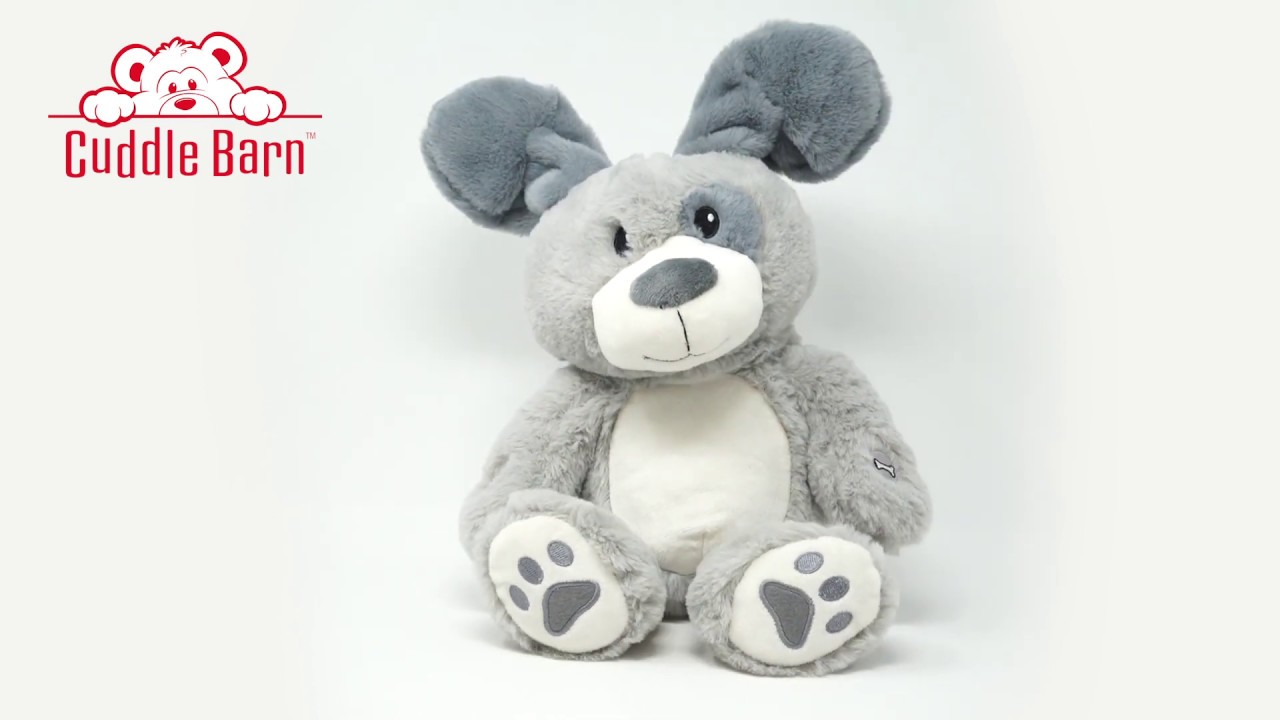 Cuddle Barn - Peek & Play Parker - YouTube