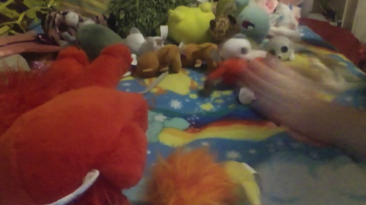 Little Live Pets S4 Lil' Turtle Tank - Snowflake - YouTube