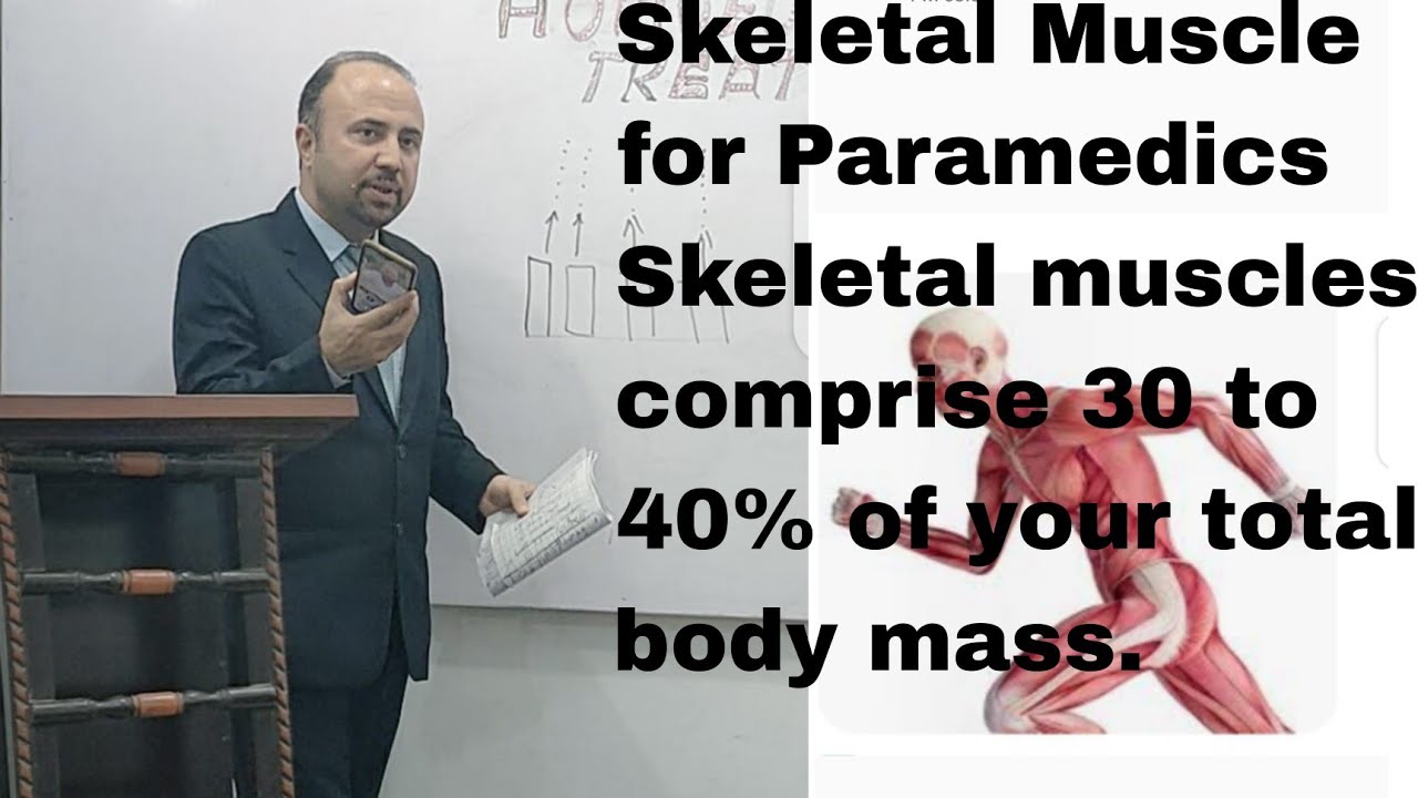 Anatomy of skeletal muscle for Paramedics and DHMS 1st year - YouTube