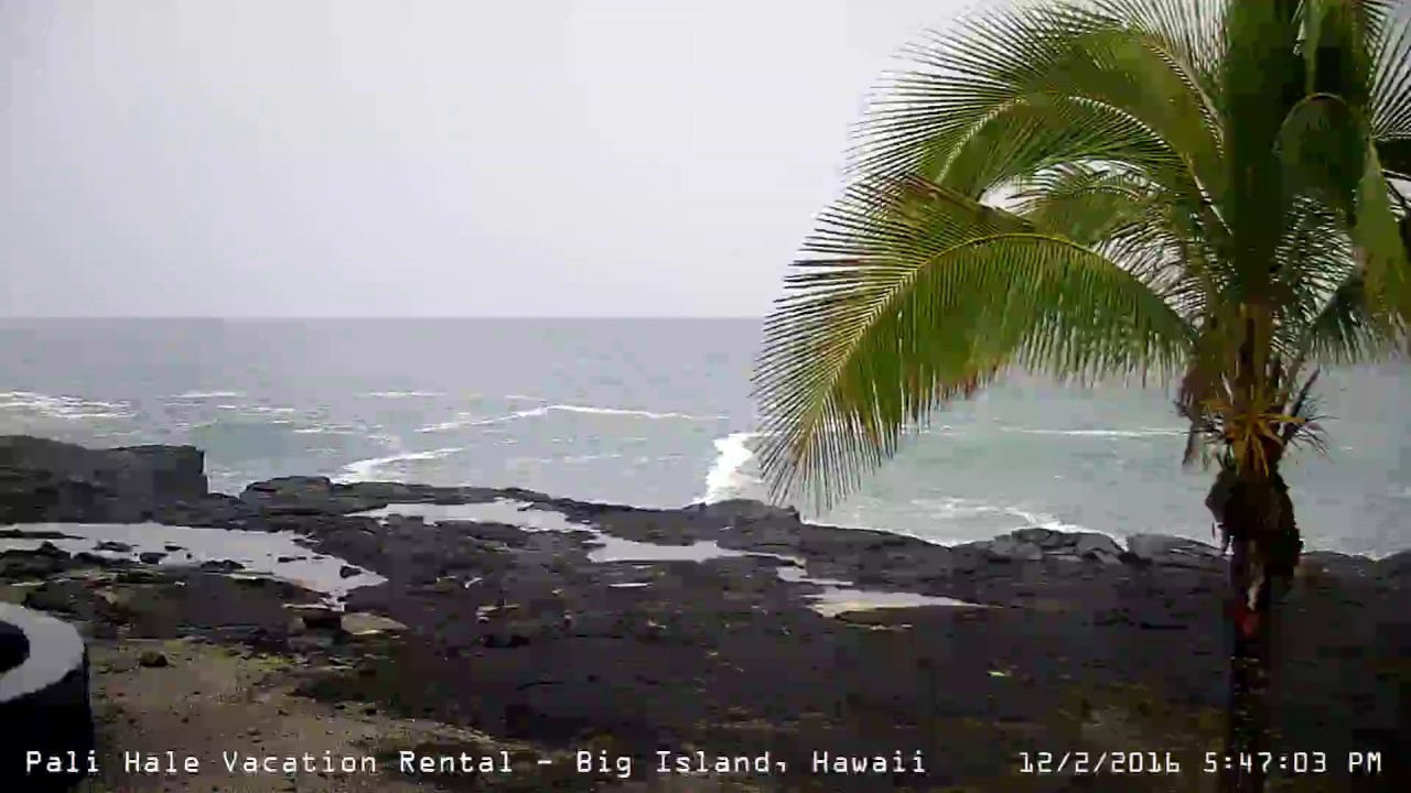 Pali Hale Live Stream from Puna Coast of Kea'au, Big Island Hawaii ...