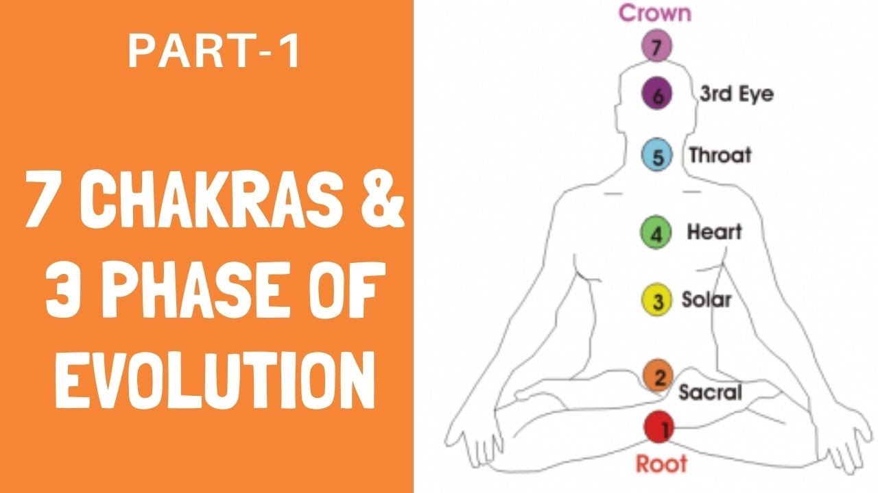 7 Chakras Explained: Location, co-relation with 3 Phase of Evolution ...