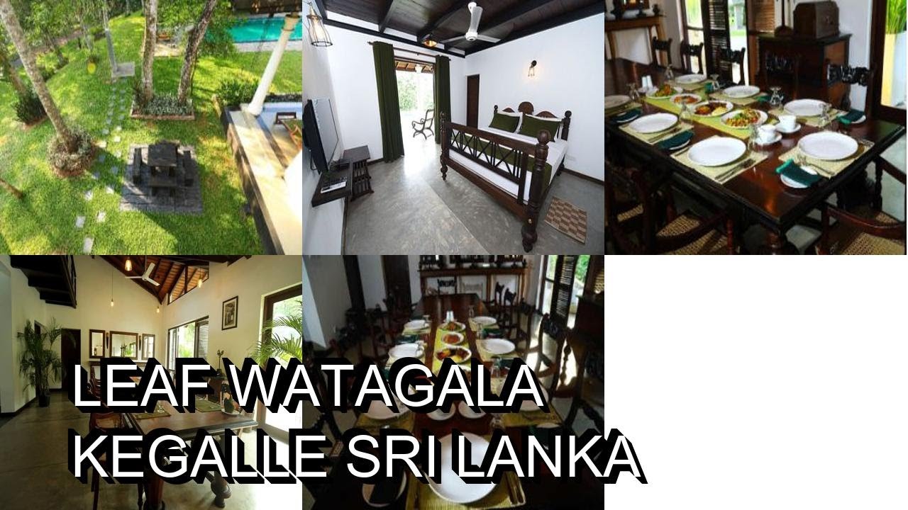 LEAF Watagala Kegalle Sri Lanka - YouTube