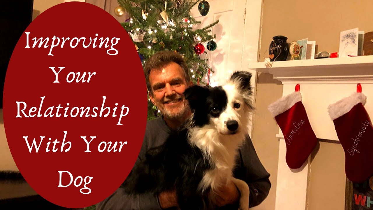 I Need Dog Help! - YouTube