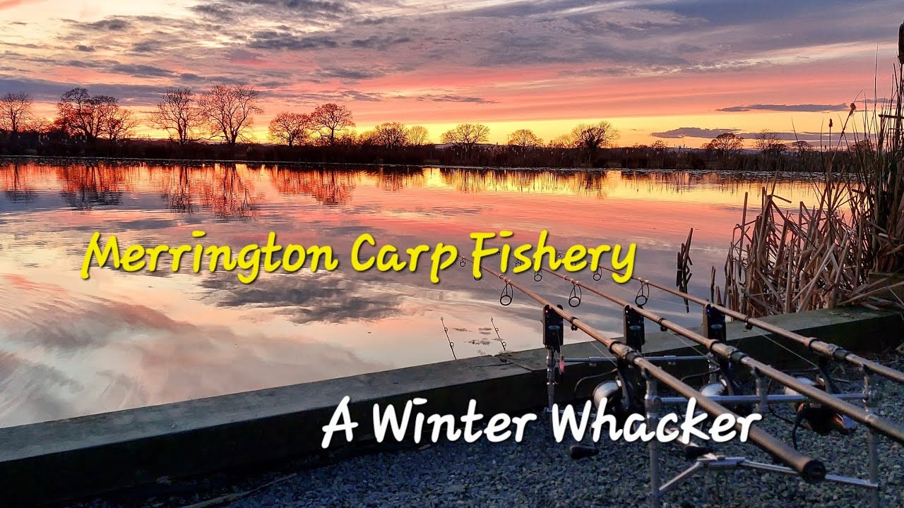 RESULT! - Winter Carp Fishing - A Shropshire Mid 30 - Merrington Carp ...