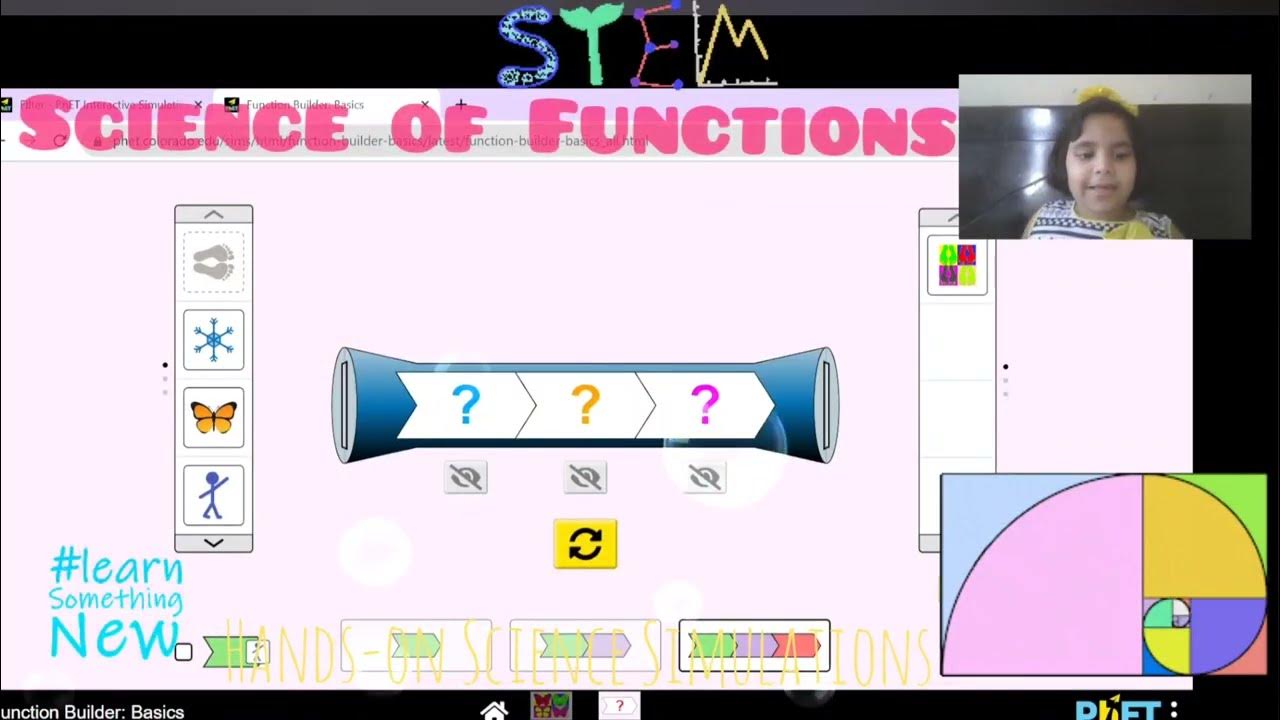 Function Fundamentals: Building, Explaining, and Simulating with STEM ...