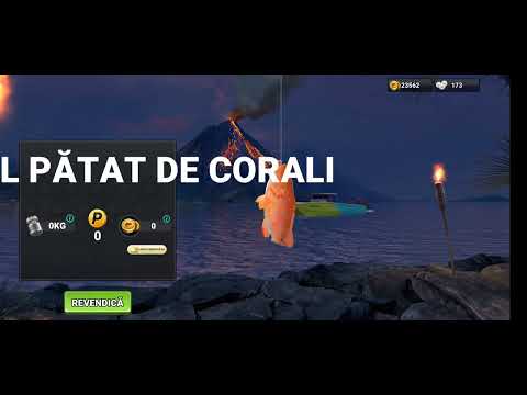 Cel mai mare peste prins azi în clasament - YouTube