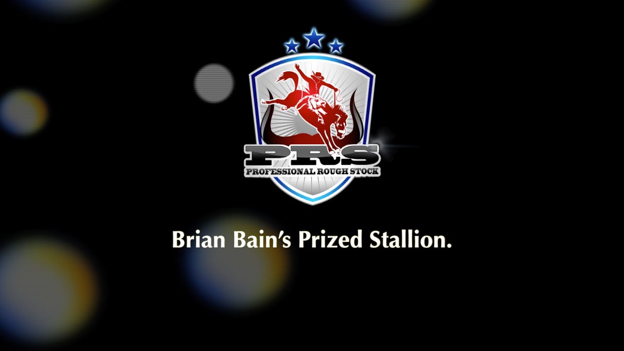 Brian Bain’s Prized Stallion - YouTube
