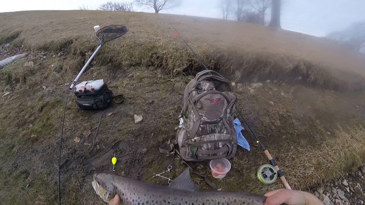 Root river racine wi brown trout - YouTube