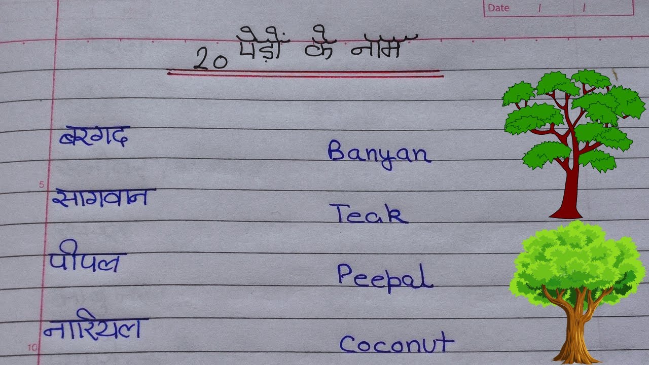 20 Trees Name Hindi and English | पेड़ों के नाम | Names of Trees and ...