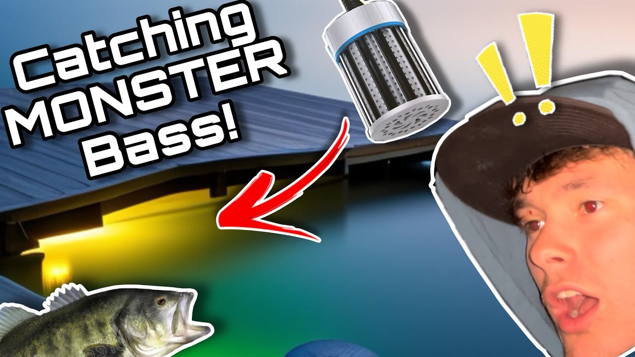 Green Light Fishing for MONSTER BASS!! - YouTube