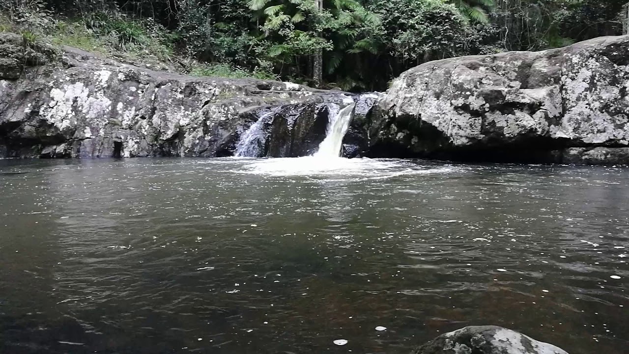 Warringa Pool, Springbrook - YouTube