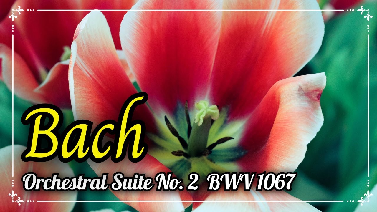 Bach: Orchestral Suite No. 2 in B minor, BWV 1067 - YouTube
