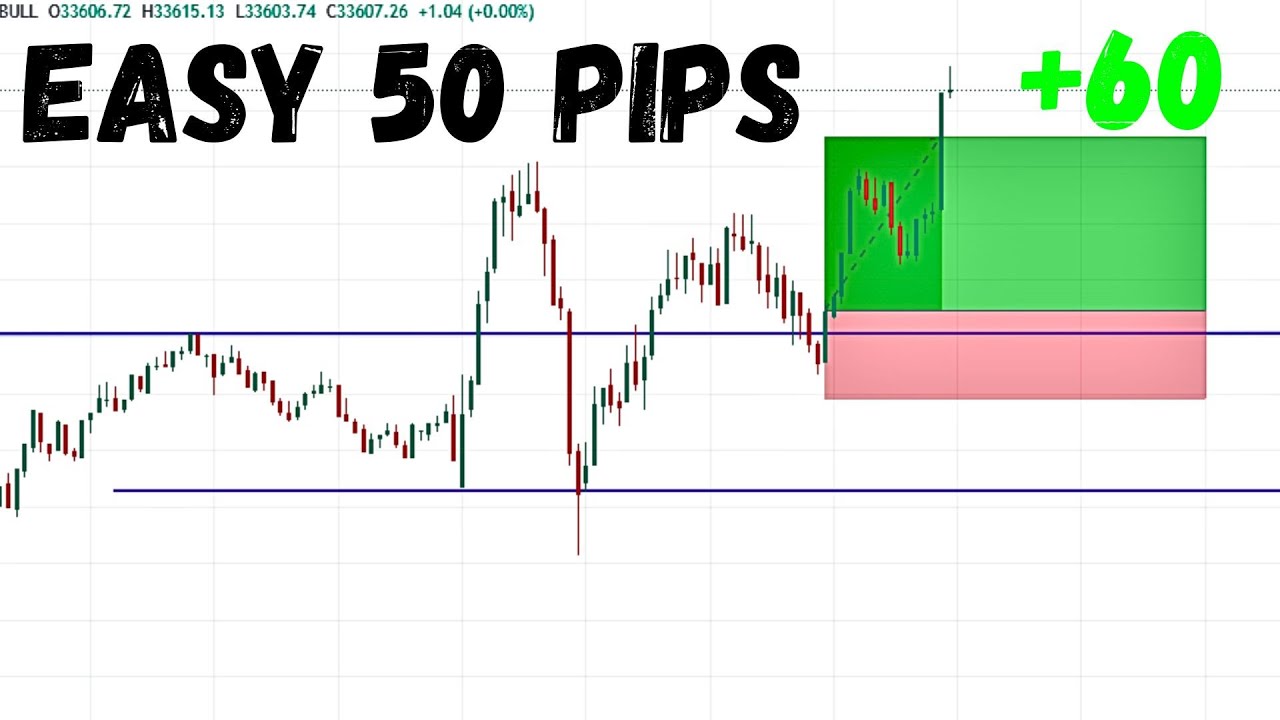 daily 50 pips - YouTube