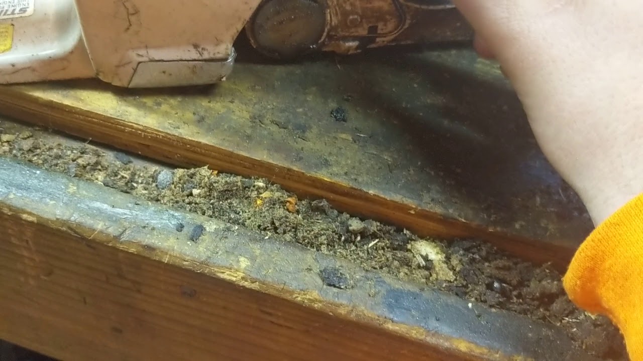 Stihl Ms 440 Magnum review - YouTube