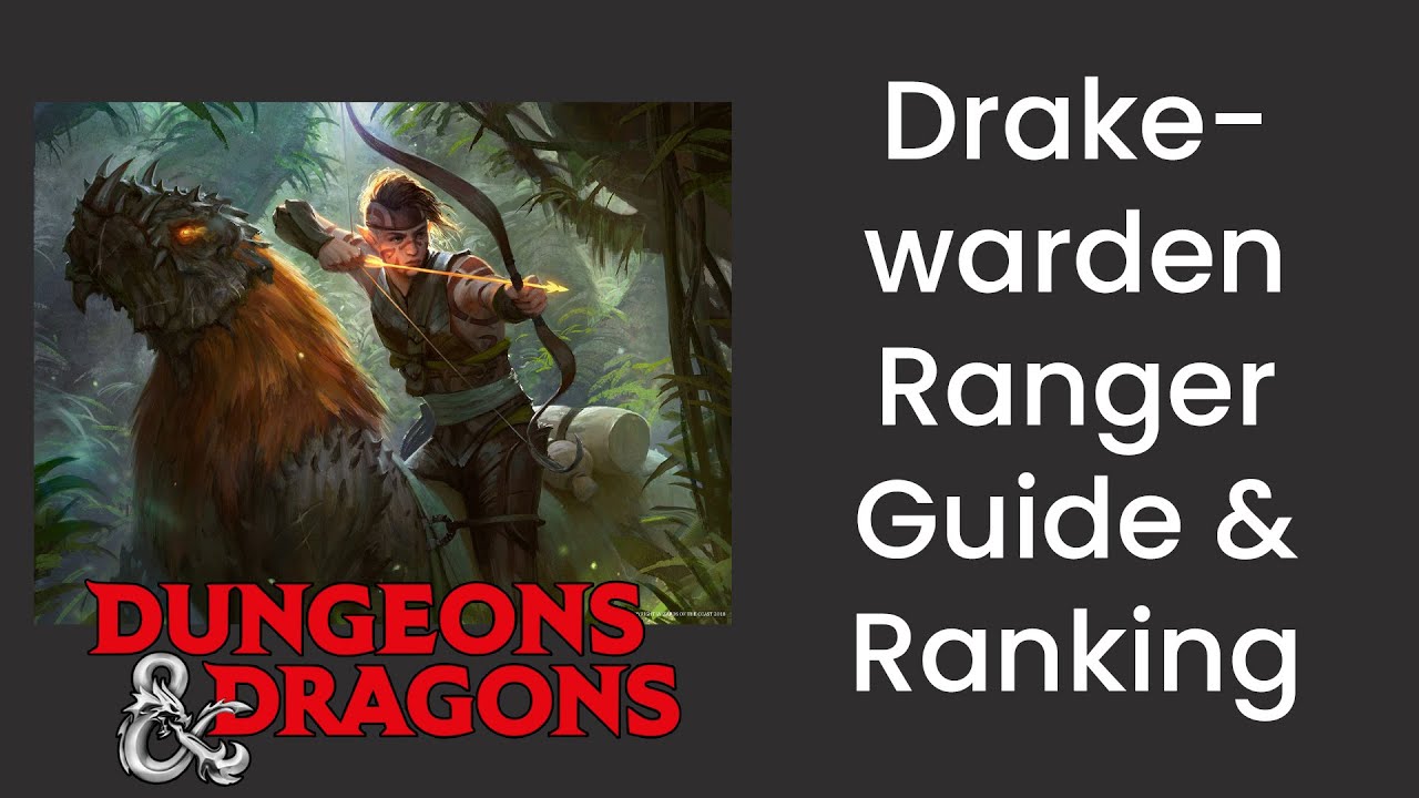 Drakewarden Conclave (Ranger) Subclass Guide and Power Ranking in D&D ...