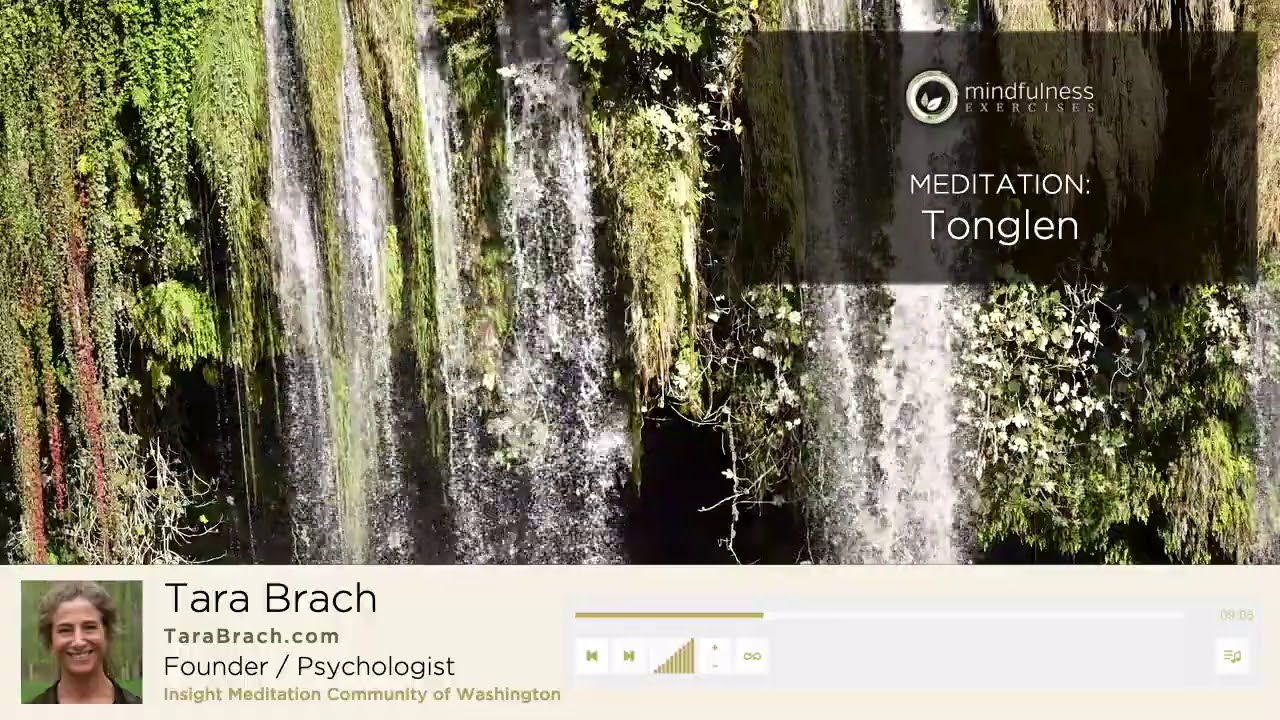 Tonglen Guided Meditation By Tara Brach - YouTube