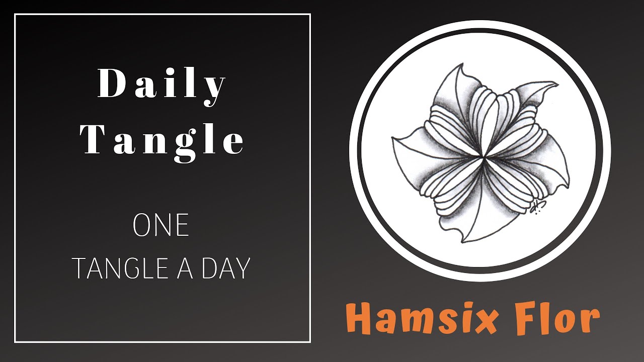 Daily Tangle - Hamsix Flor |How to draw...| - YouTube