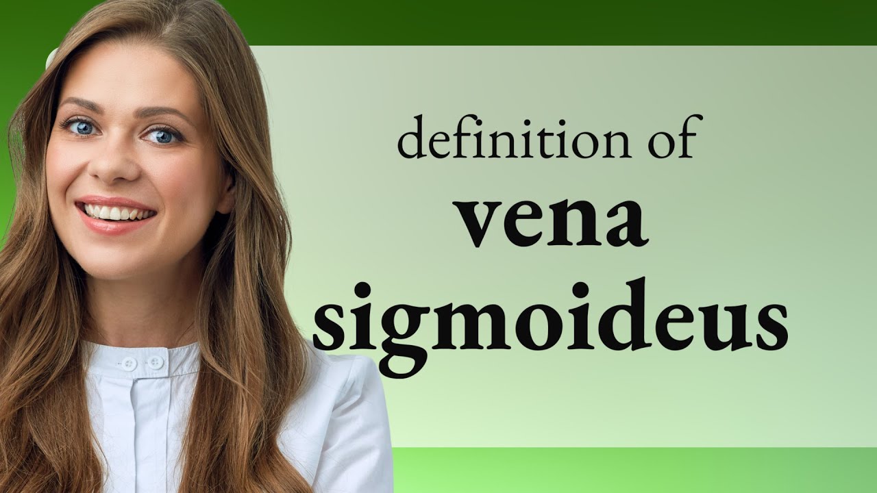Vena sigmoideus — VENA SIGMOIDEUS meaning - YouTube