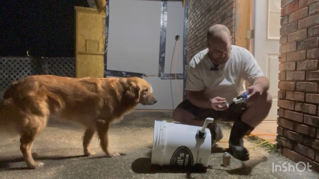 Creating the water system for the quail - YouTube