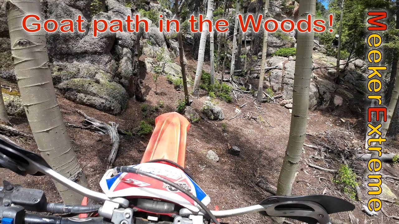 Goat path in the woods! - YouTube