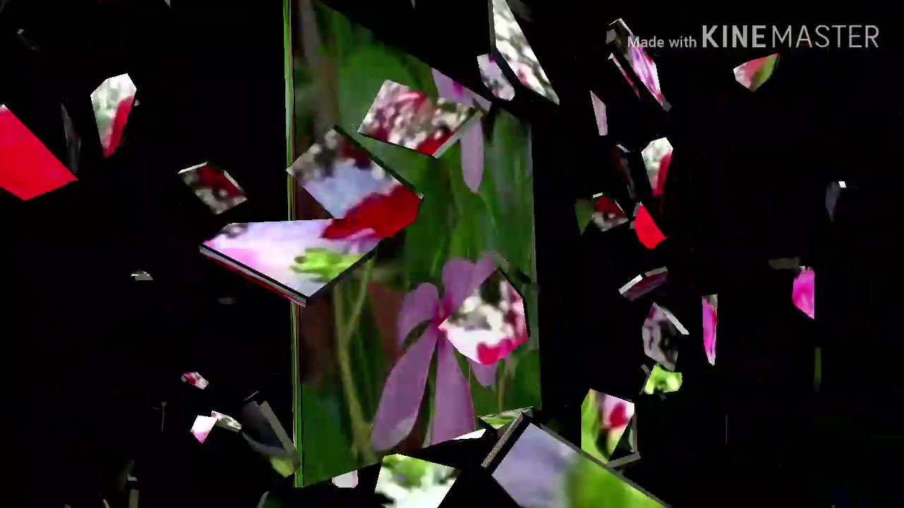 24 October 2019 - YouTube