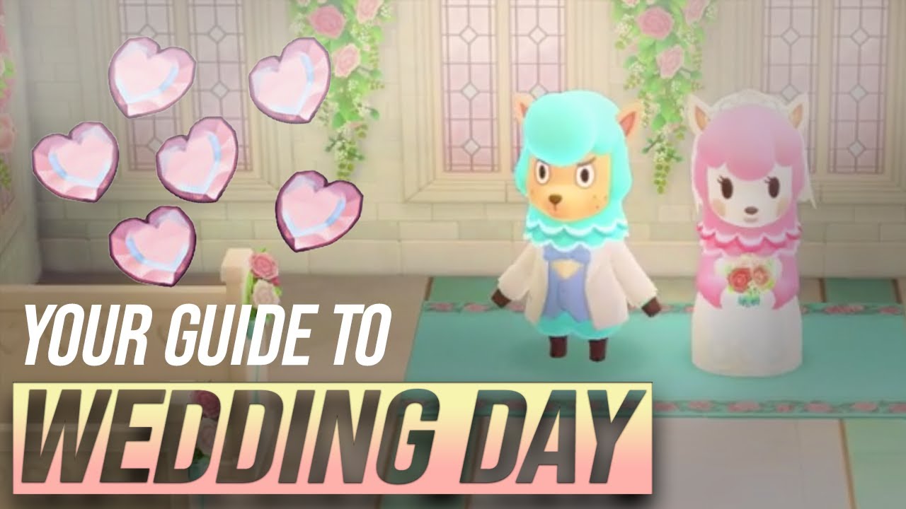 ACNH ALL Items Included! Everything You Need to Know about the Wedding ...