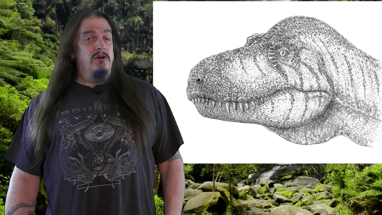Systematic Classification Of Life Ep29 Zatheria YouTube systematic-classification-of-life-ep29-zatheria-youtube