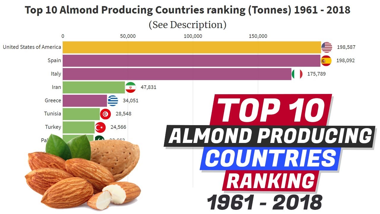 Top 10 Almond Producing Countries Ranking (1961-2018) Bar Chart Race ...