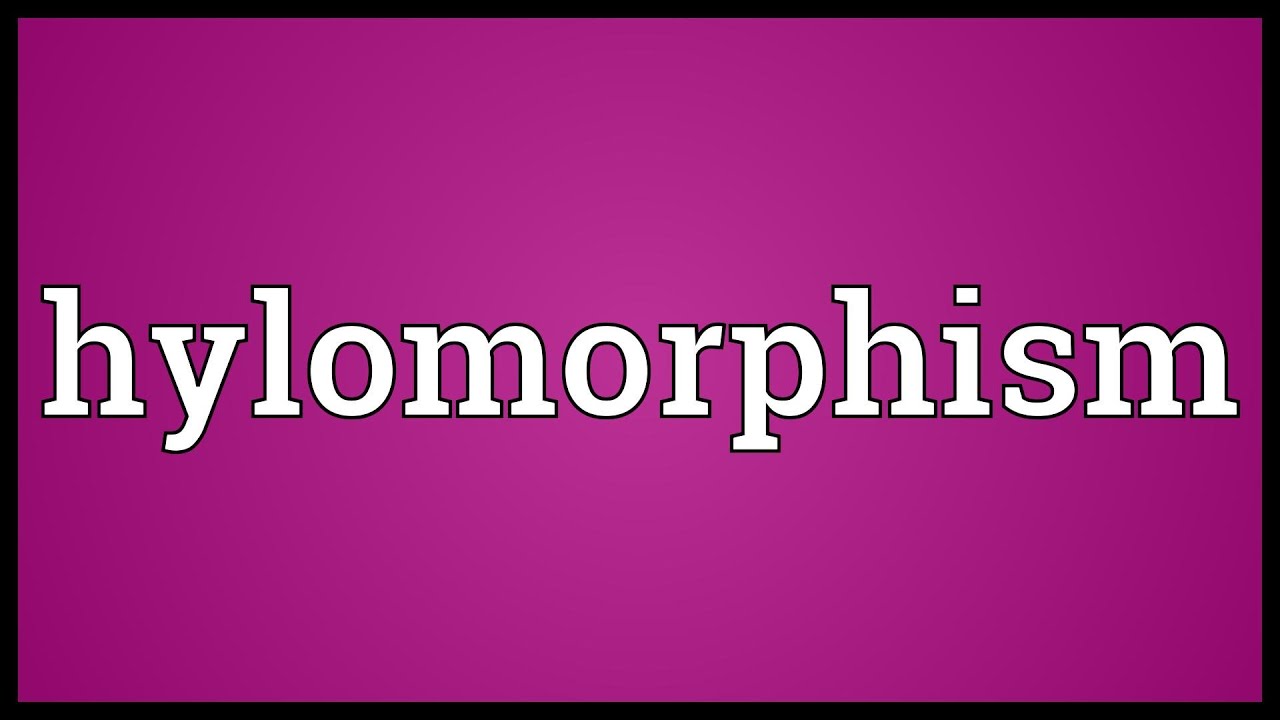 Hylomorphism Meaning - YouTube
