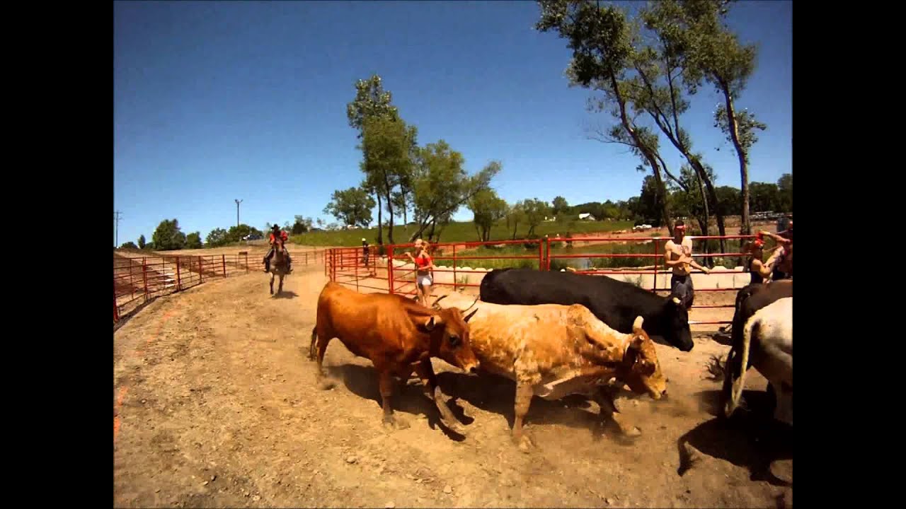 The Great Bull Run 2014 - YouTube