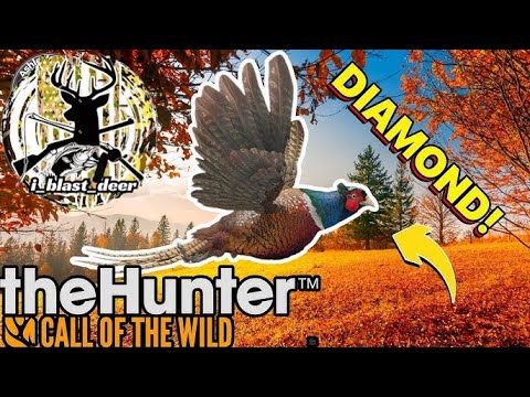 The hunter COTW - YouTube