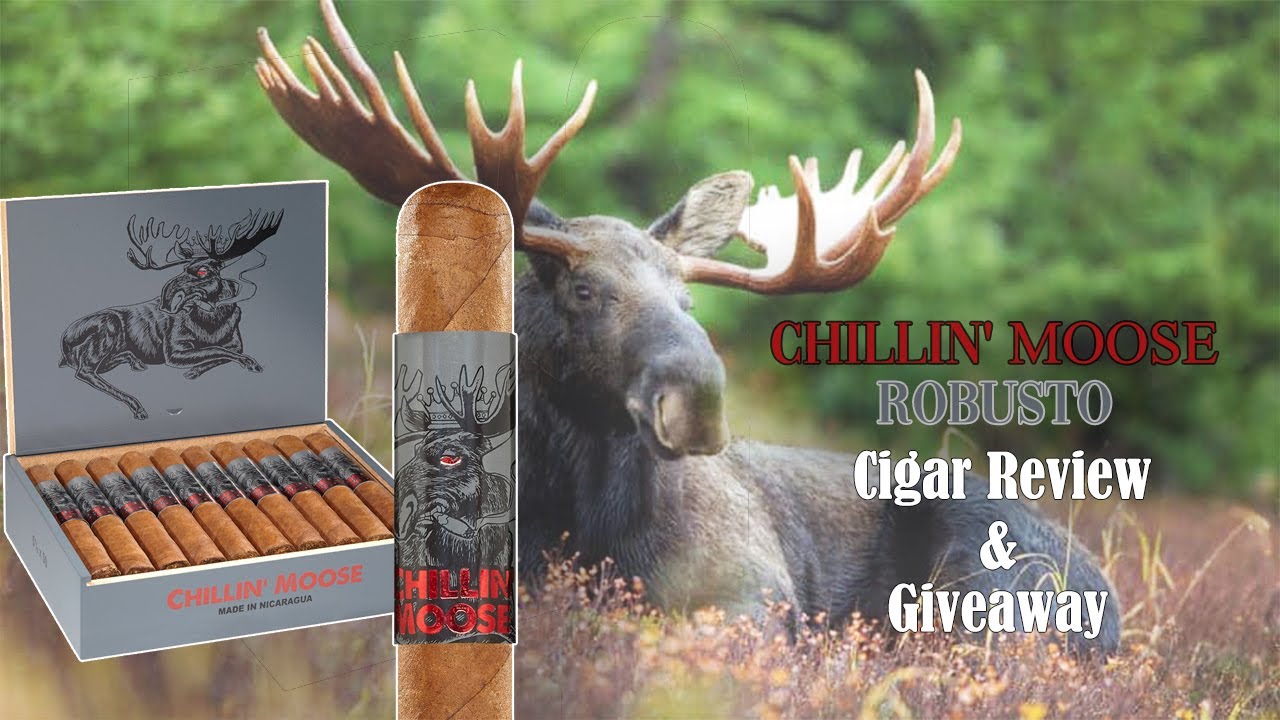 Chillin' Moose Cigar Unboxing & 1000 Subscribers Humidor Giveaway - YouTube