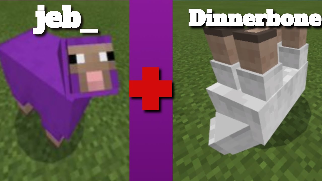 Dinnerbone sheep + jeb sheep = ??? - YouTube