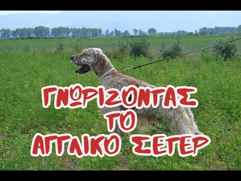 ΓΝΩΡΙΖΟΝΤΑΣ ΤΟ ΑΓΓΛΙΚΟ ΣΕΤΕΡ - YouTube