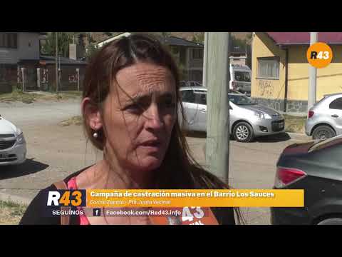 Carina Zapata - Campaña de castración en B° Los Sauces