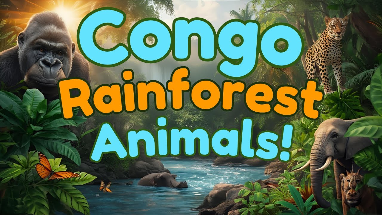 Meet Amazing Congo Rainforest Animals! | Educational Video For Kids ...