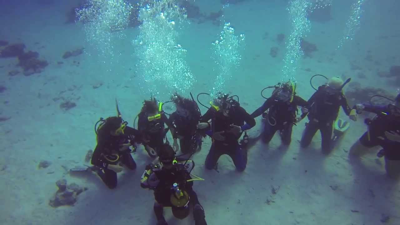 Underwater Scuba Class: Rehearsing PADI OpenWater Course Skills - YouTube