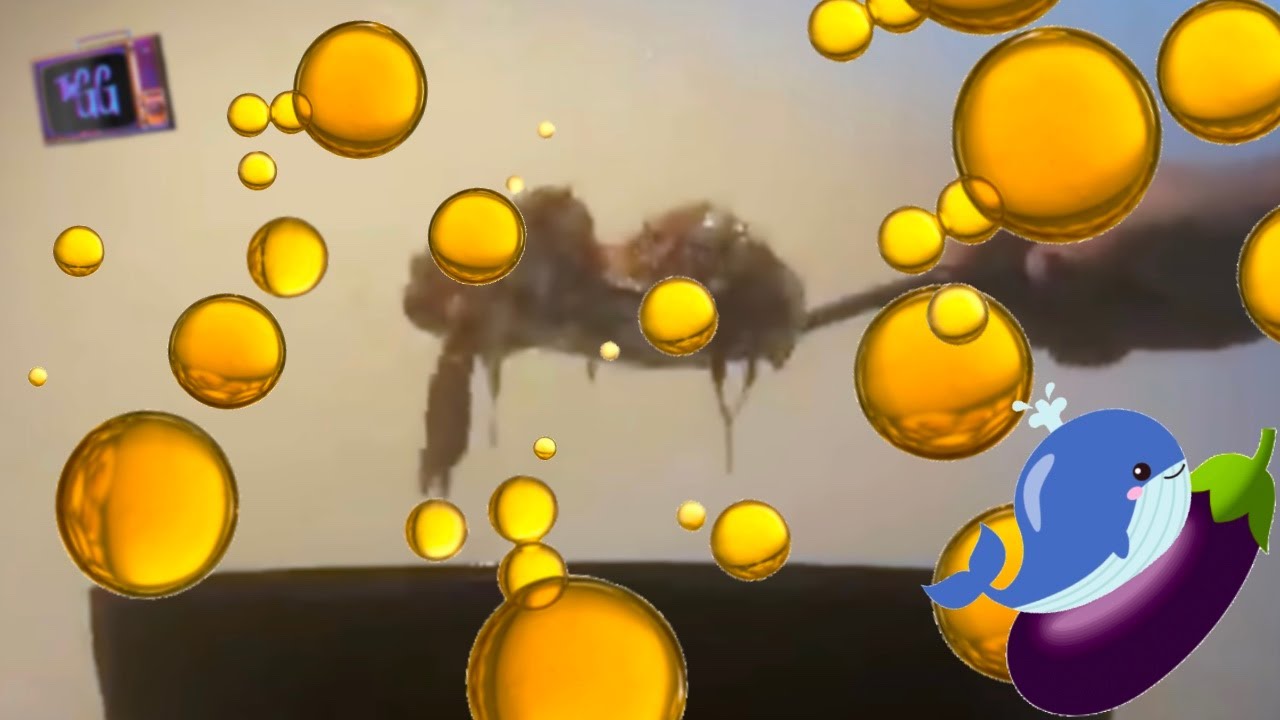 @KingCobraJFS Makes Fried Doritos Mozzarella Sticks | React - YouTube