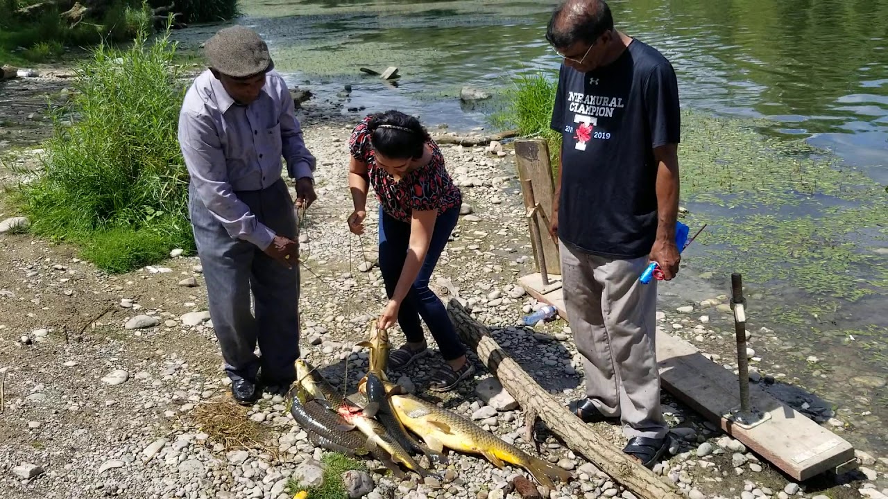 Carp fishing by Akhtar Husain in London - YouTube