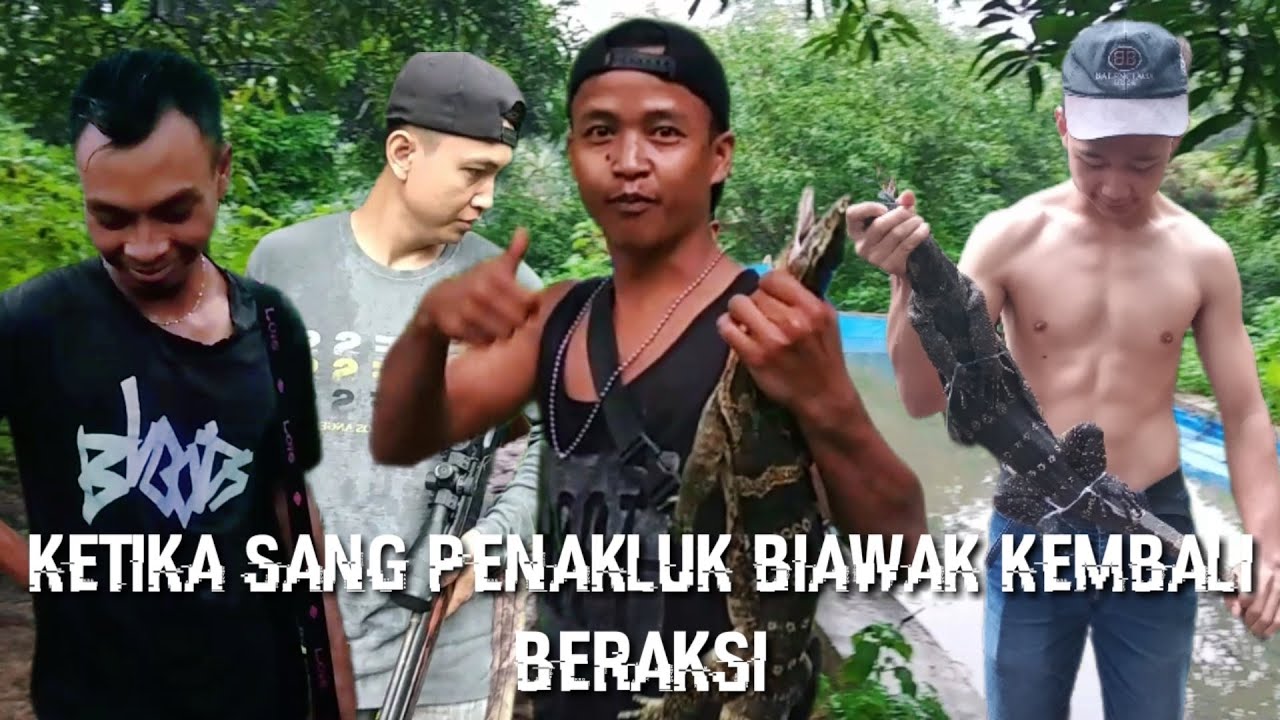BERBURU TUPAI POINT BIAWAK || HUNTING BARENG PENAKLUK BIAWAK || BELAWA ...