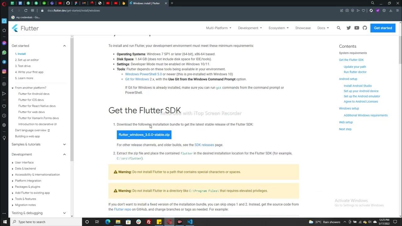 Checking Dart Sdk Version Was Unexpected At This Time Flutter Errors