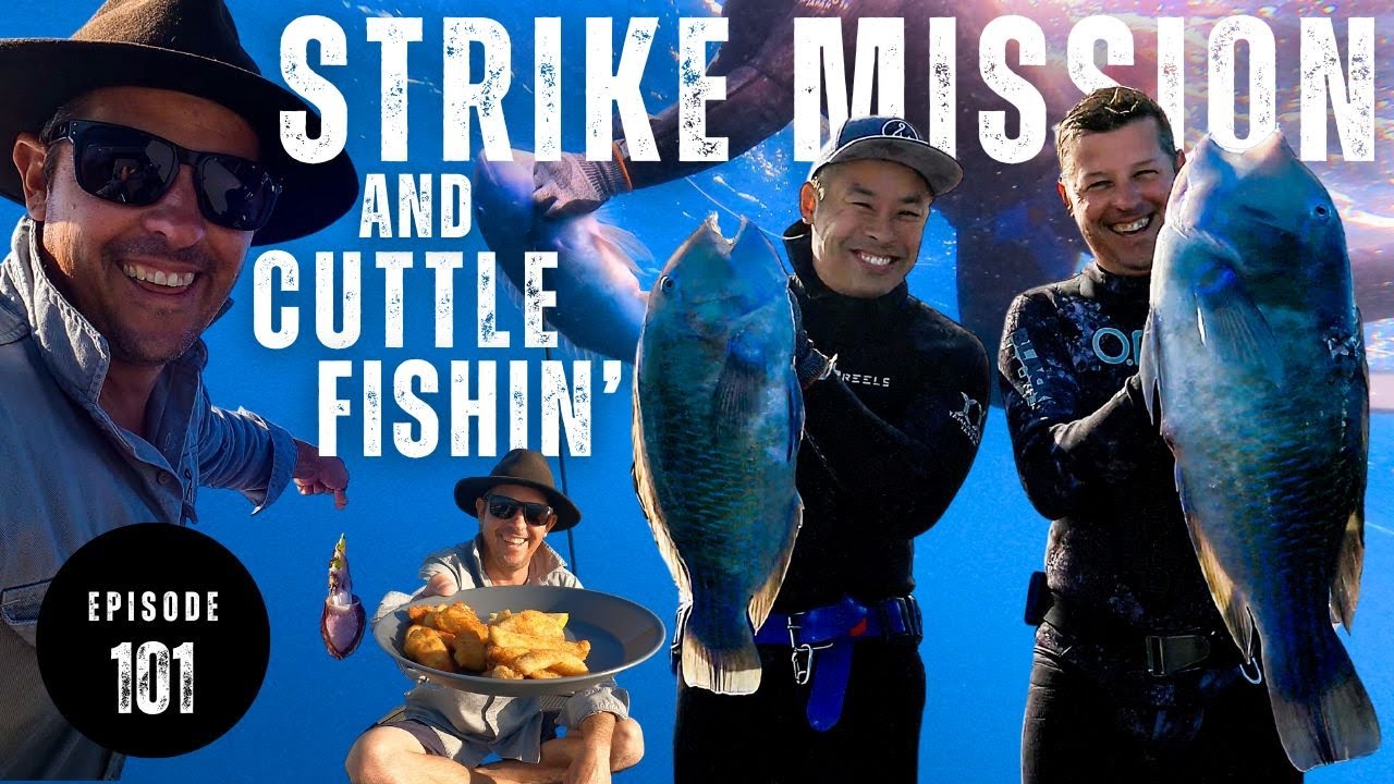 STRIKE MISSION to Find BLUE BONE | Cuttle Fish | CATCH and COOK - Ep ...