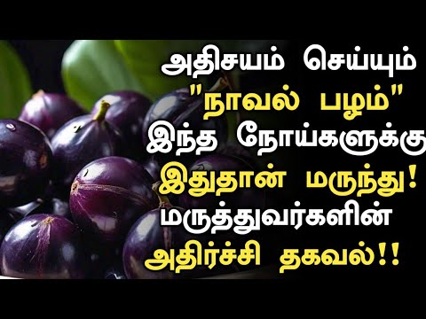 நாவல் பழம் சாப்பிடுவதால் கிடைக்கும் 10 நன்மைகள்| Top 10 Health Benefits ...