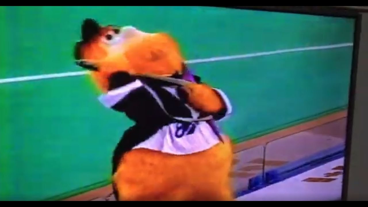Youppi! Montage - YouTube
