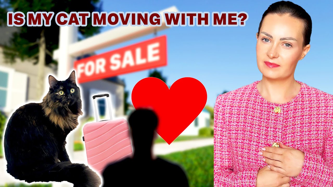 Answering Your Questions About My Boyfriend & Moving In Together! - YouTube