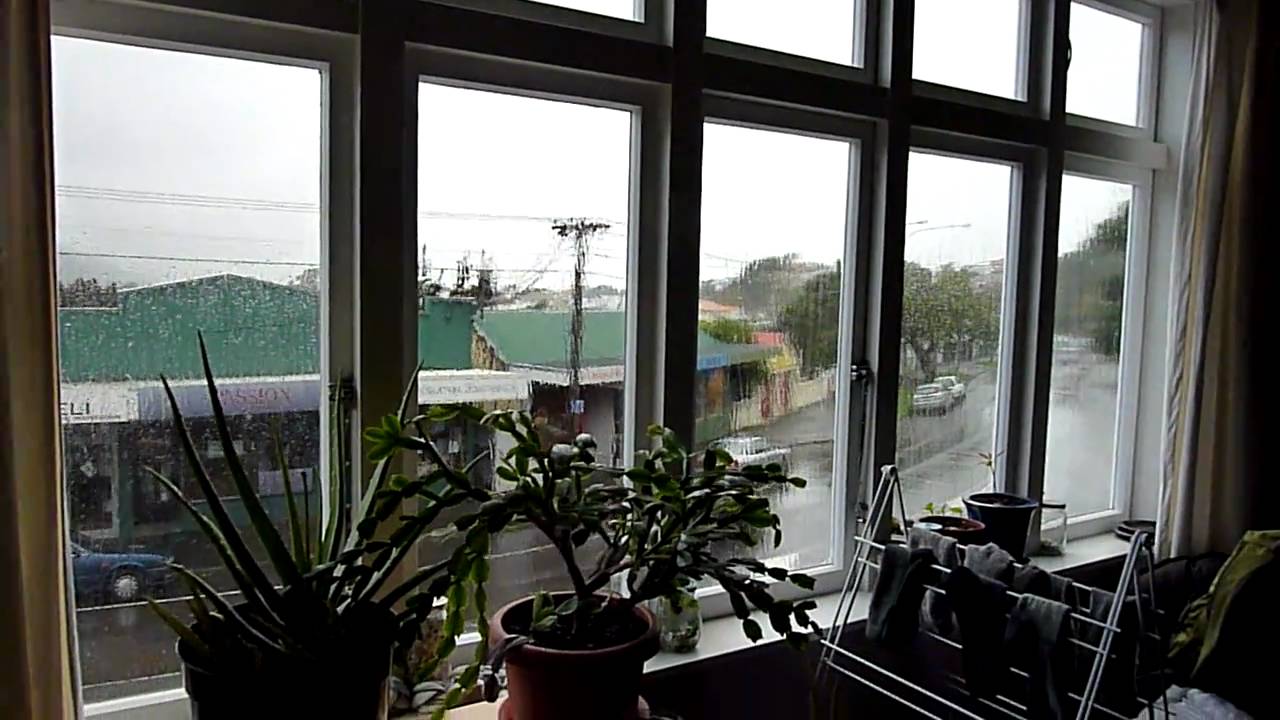 Windy Welly - Gale force winds blowing outside my window - YouTube