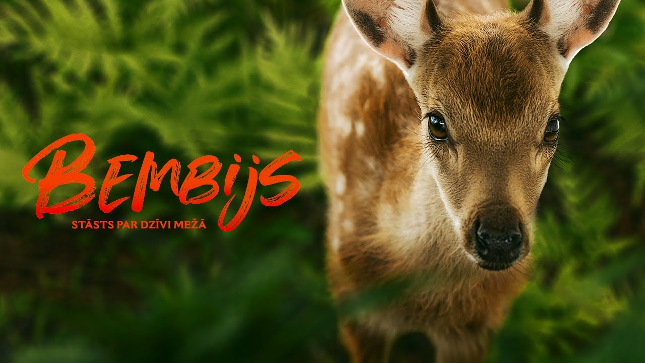 Bembijs. Stāsts par dzīvi mež – filmas treileris - YouTube